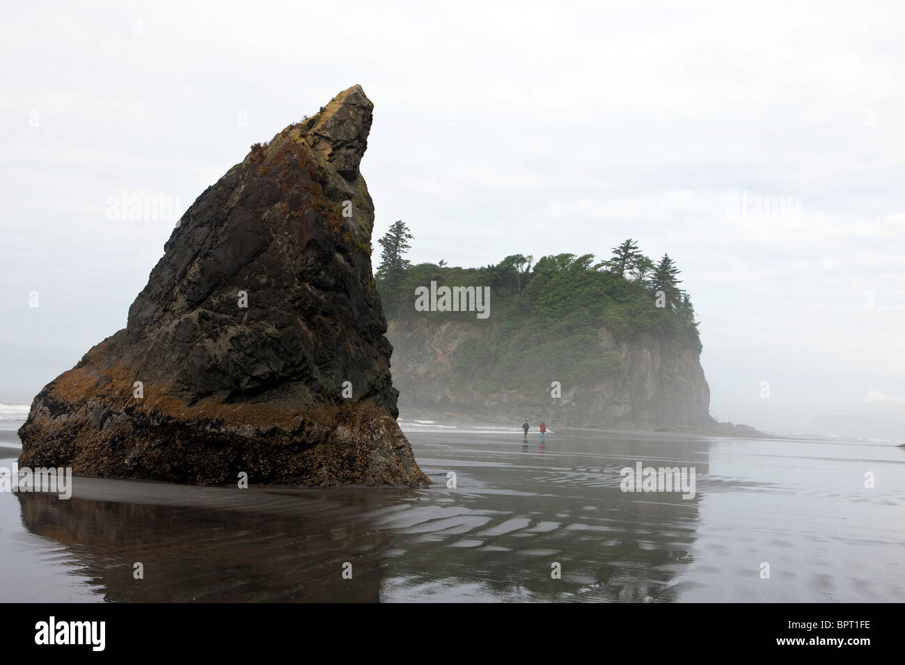 Sea stack on Ruby Beach at morning with foggy mist, Olympic National ...