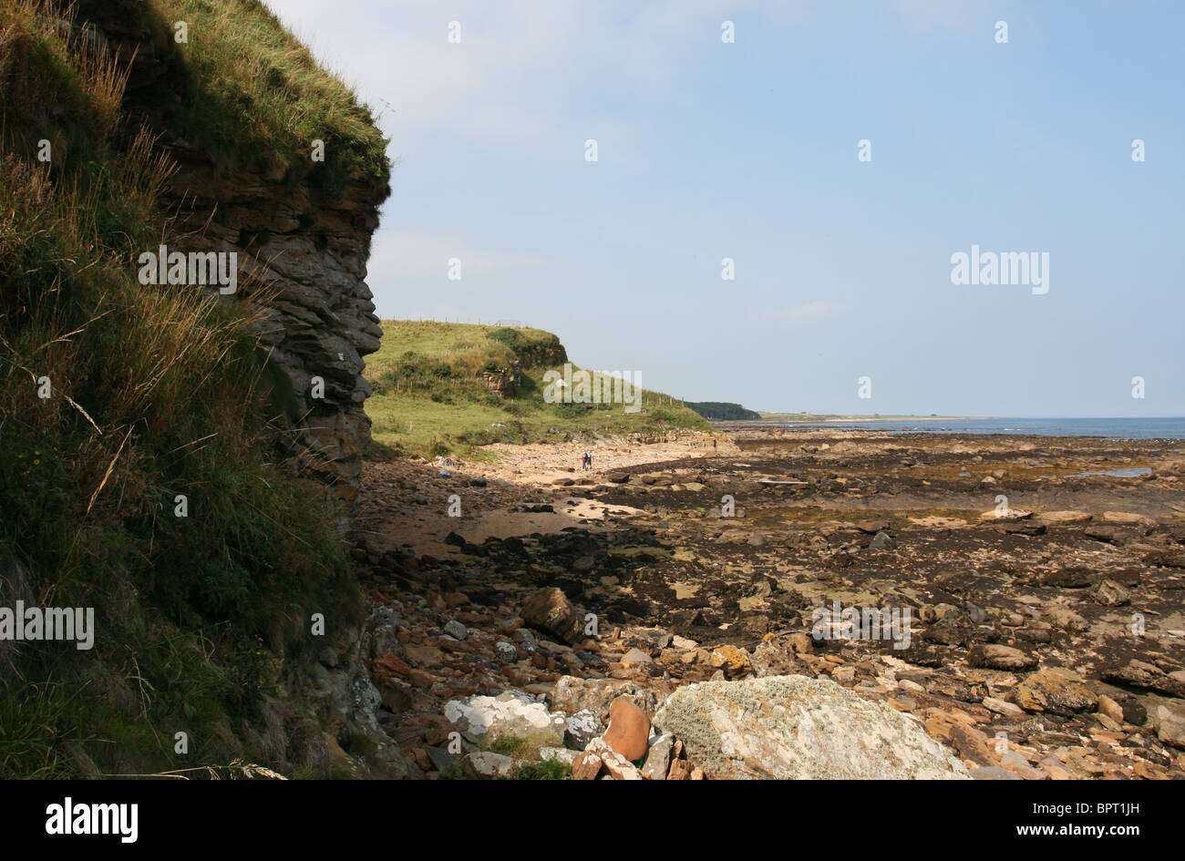 Randerston hi-res stock photography and images - Alamy