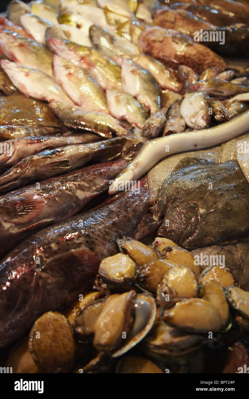 Seafood at fish market, Shenzhen, Guangdong Province, China Stock Photo ...