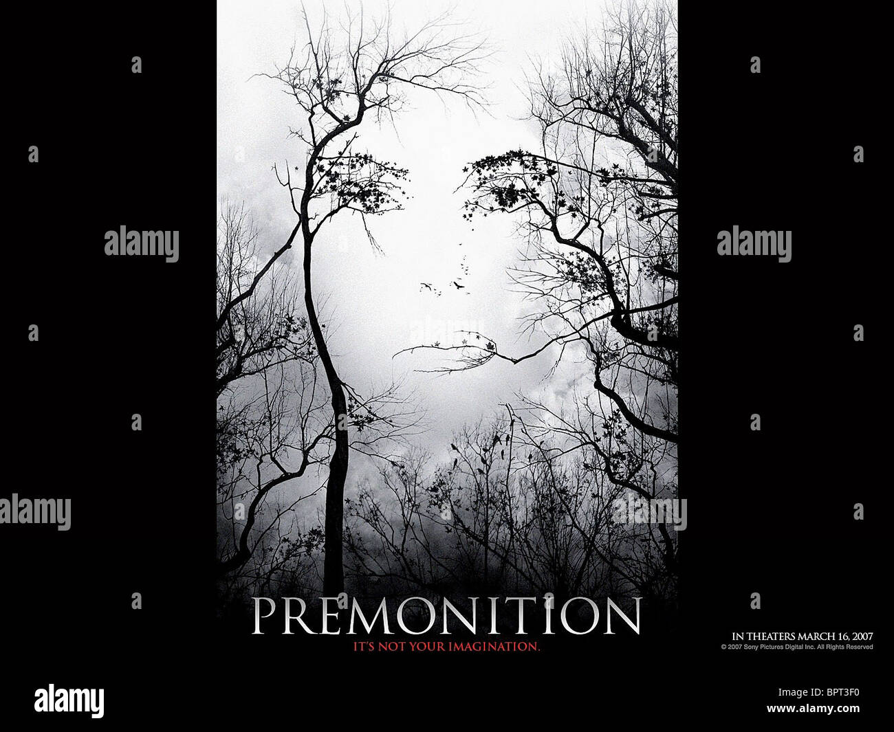 Premonition High Resolution Stock Photography and Images - Alamy