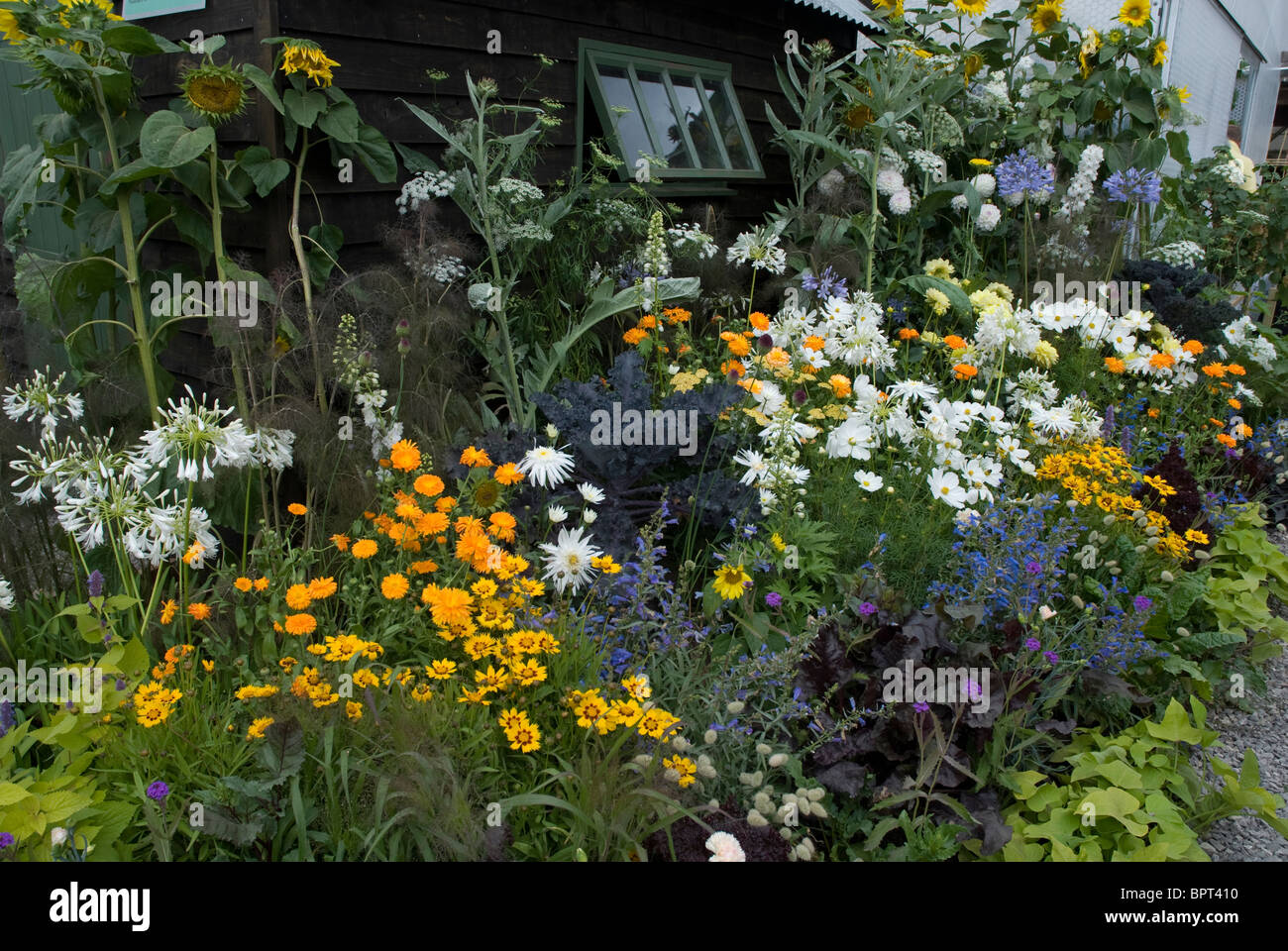 Annual flower bed hi-res stock photography and images - Alamy