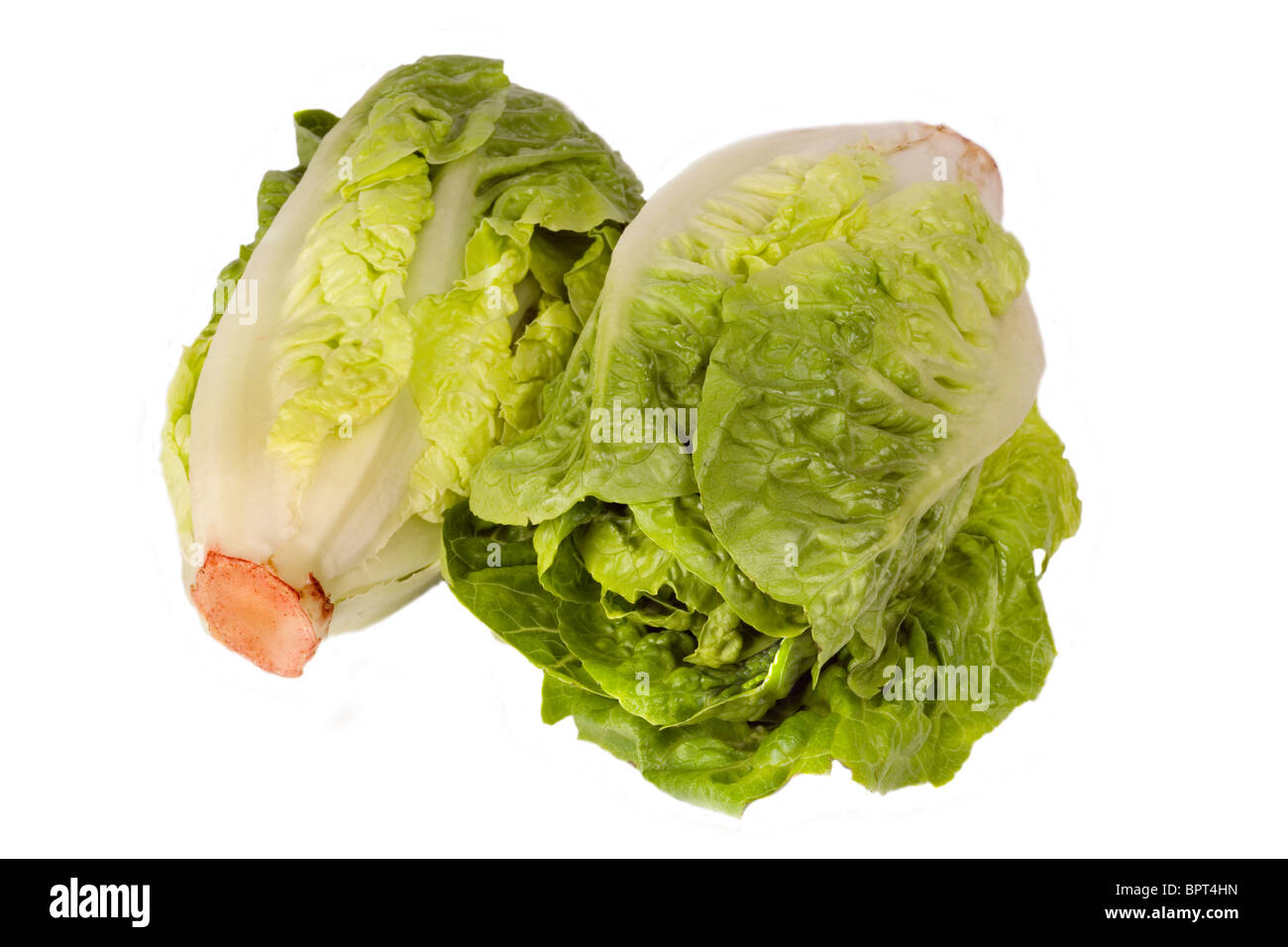 Cos hi-res stock photography and images - Alamy