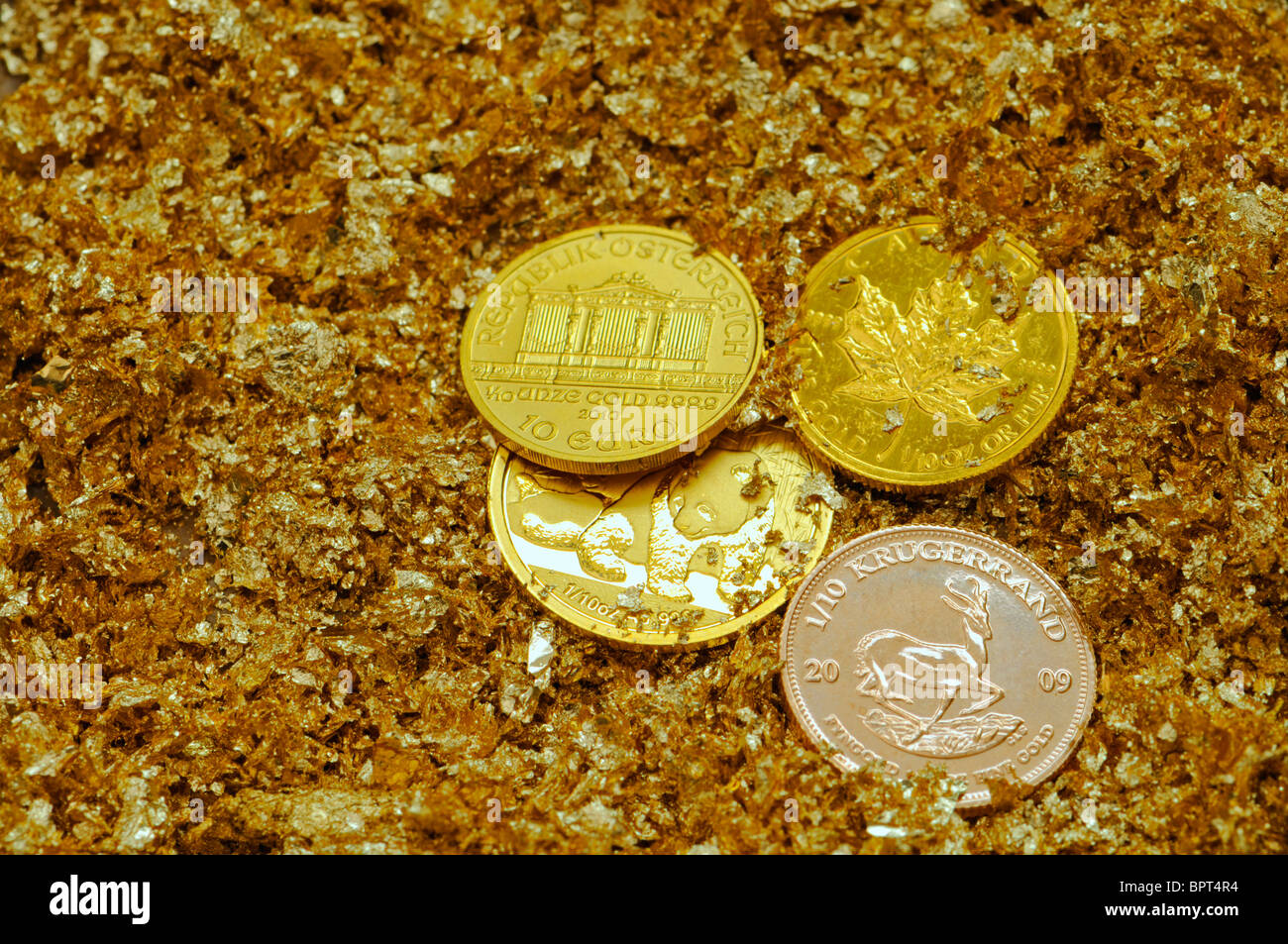 Small pure gold bullion coins in gold flakes Stock Photo - Alamy
