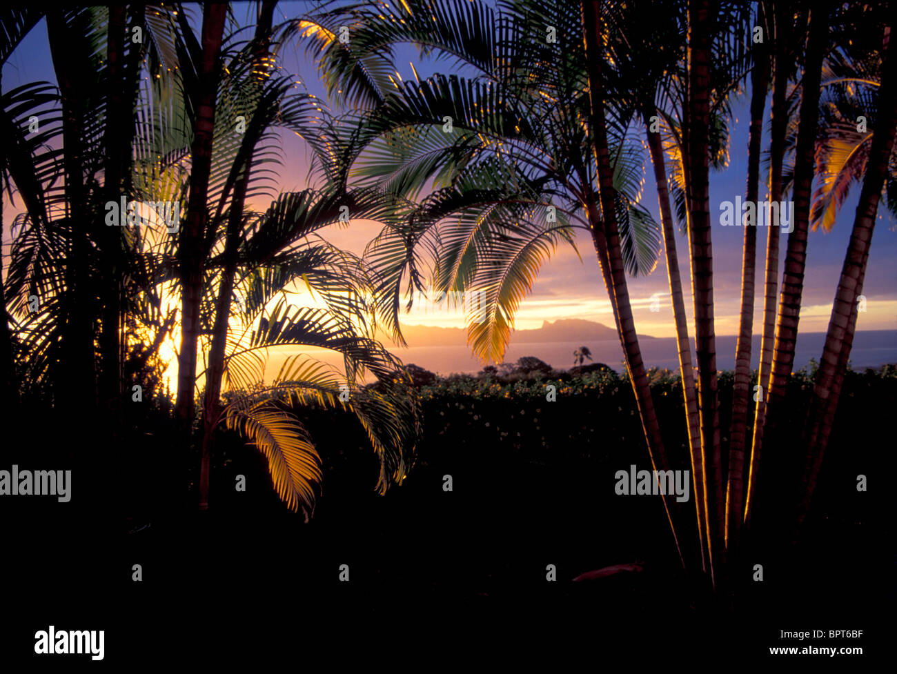A tropical sunset on Tahiti, Polynesia Stock Photo - Alamy