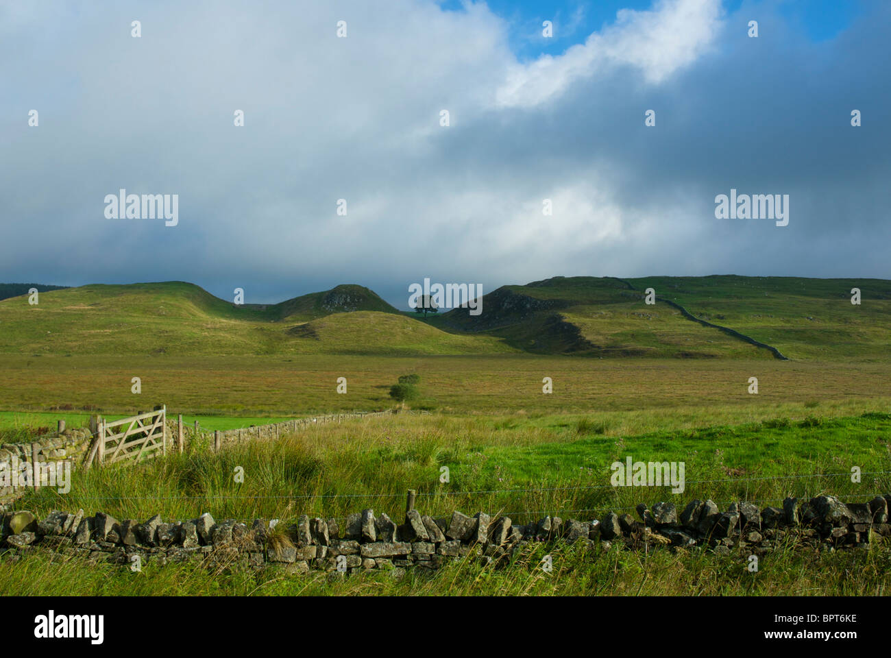Sycamore Gap, Steel Rigg, Hadrian's Wall, Northumberland National Park ...