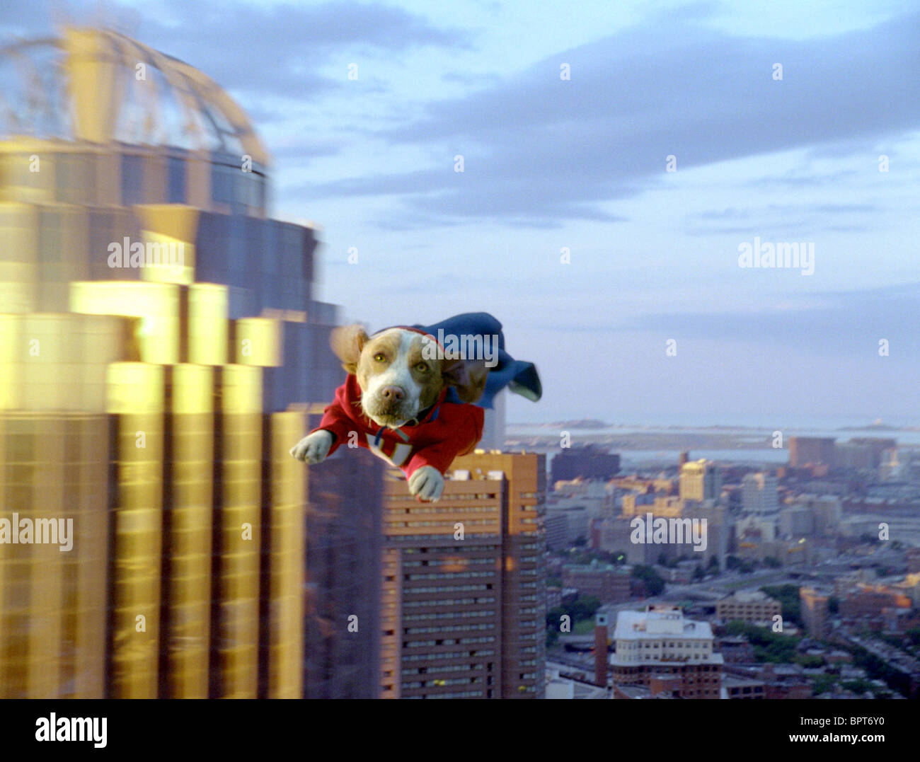 Underdog Disney High Resolution Stock Photography and Images - Alamy