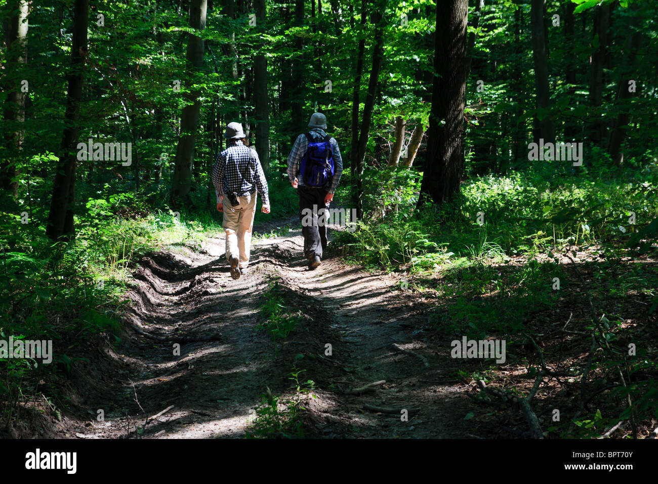 Tourists walking dirt path through a green forest Stock Photo - Alamy