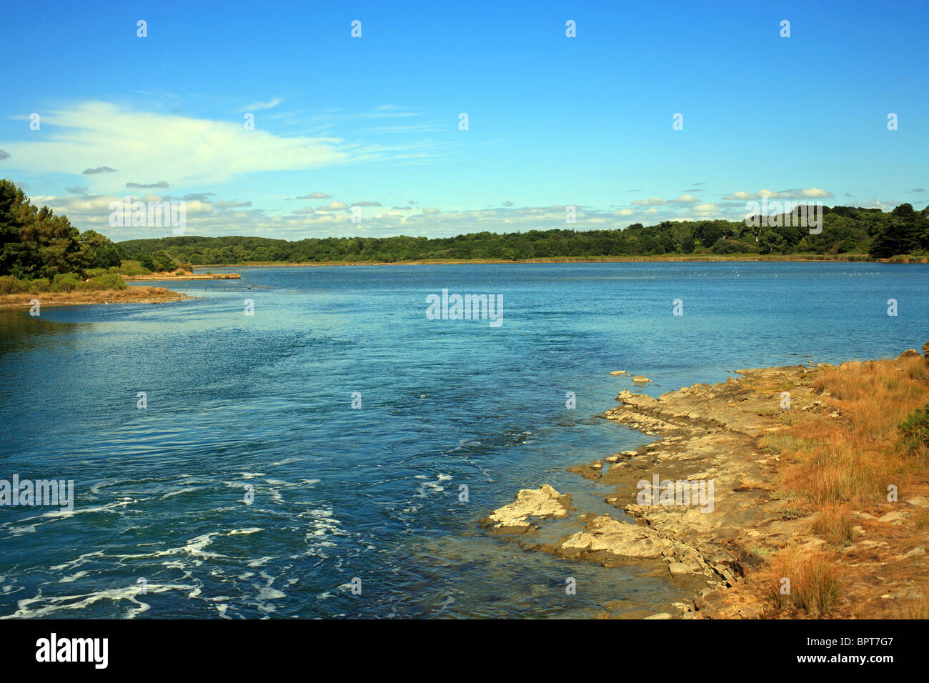Etang de Toulvern from barage, Baden, Golfe du Morbihan, Bretagne ...