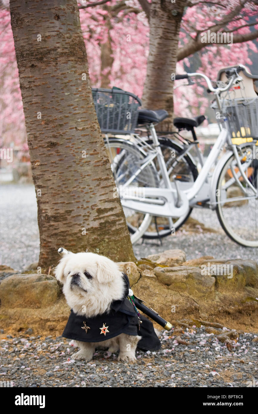 Complete ethnic hi-res stock photography and images - Alamy