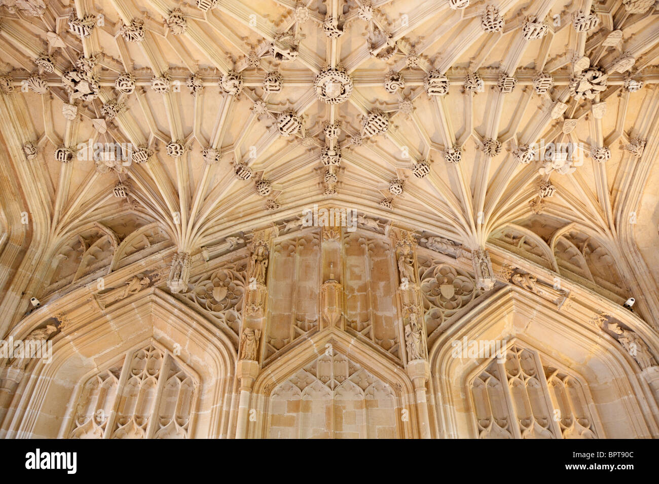 The fan vaulted ceiling of the divinity school hi-res stock photography ...