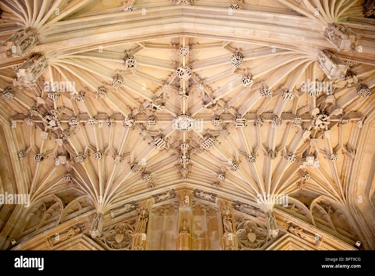Divinity school vaulted ceiling hi-res stock photography and images - Alamy