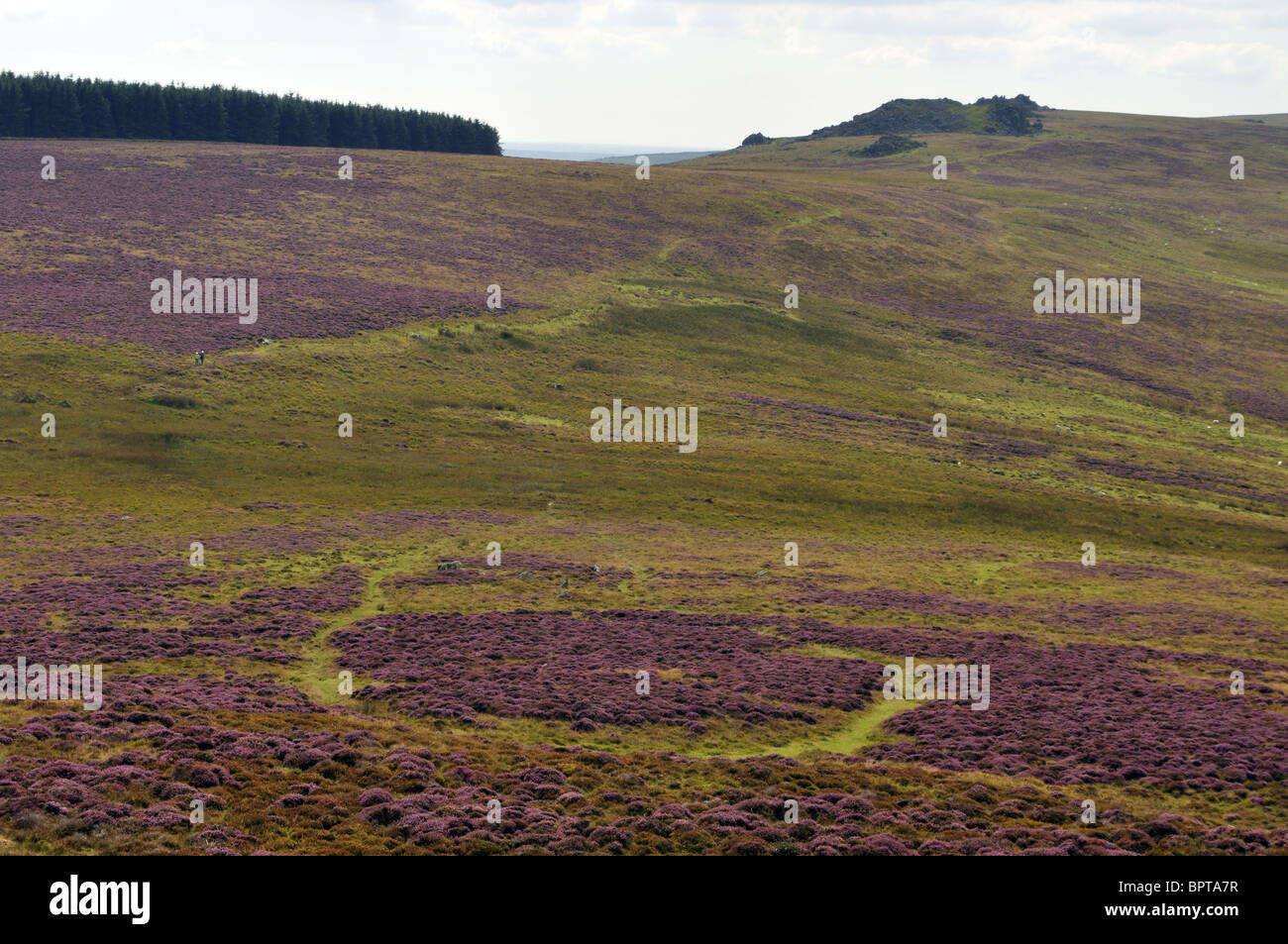 Carn Circle High Resolution Stock Photography and Images - Alamy