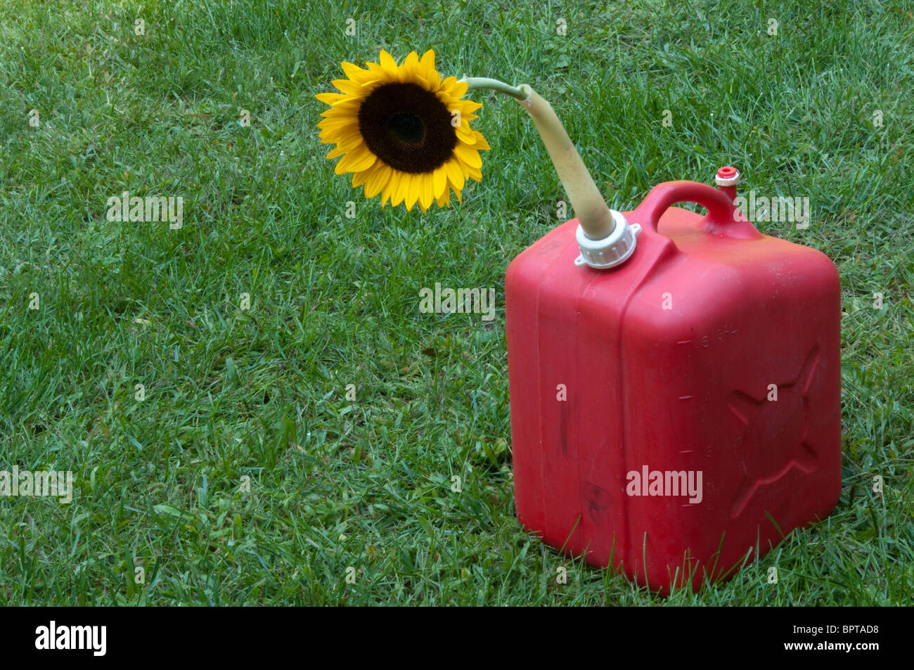 Biodiesel hi-res stock photography and images - Alamy