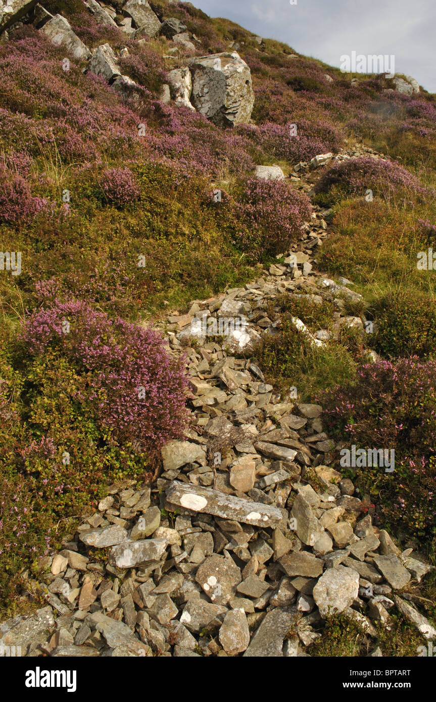 Crymych High Resolution Stock Photography and Images - Alamy