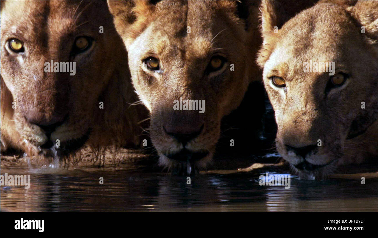 Bbc Earth High Resolution Stock Photography and Images - Alamy