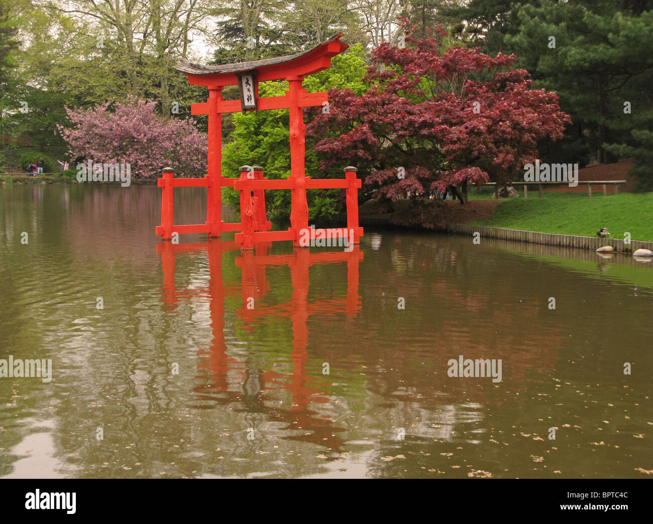 Japanese Torii gate Brooklyn Botanic Garden Hill Pond reflection spring ...
