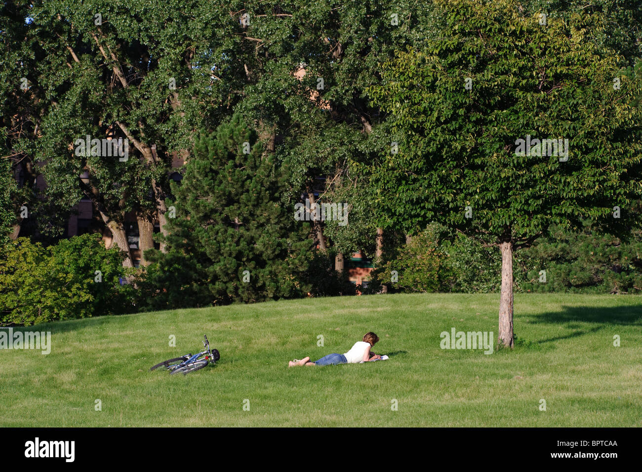 Woman reading a book under a tree in a public park Stock Photo - Alamy