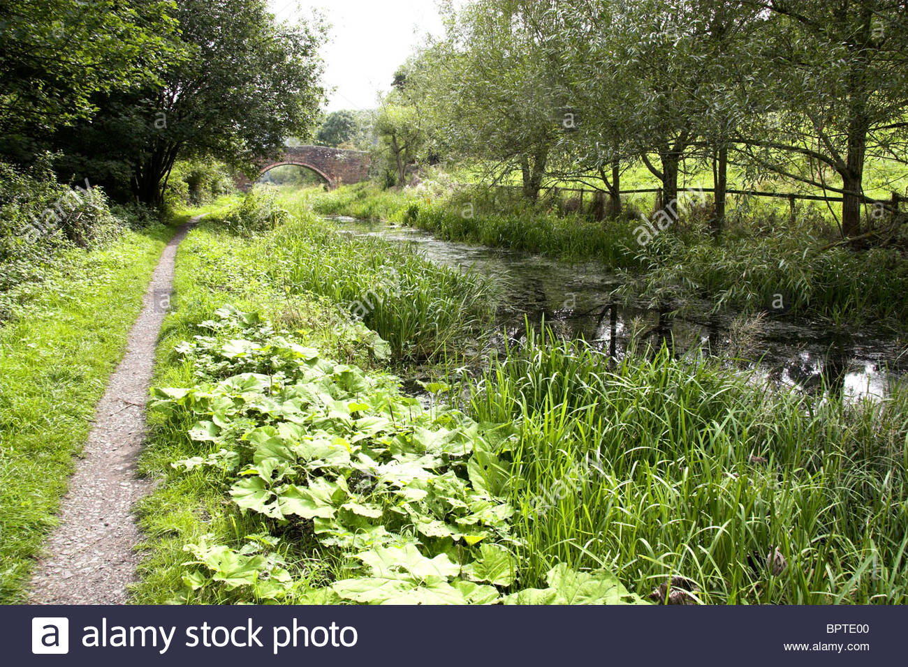 Severn Thames Canal High Resolution Stock Photography and Images - Alamy
