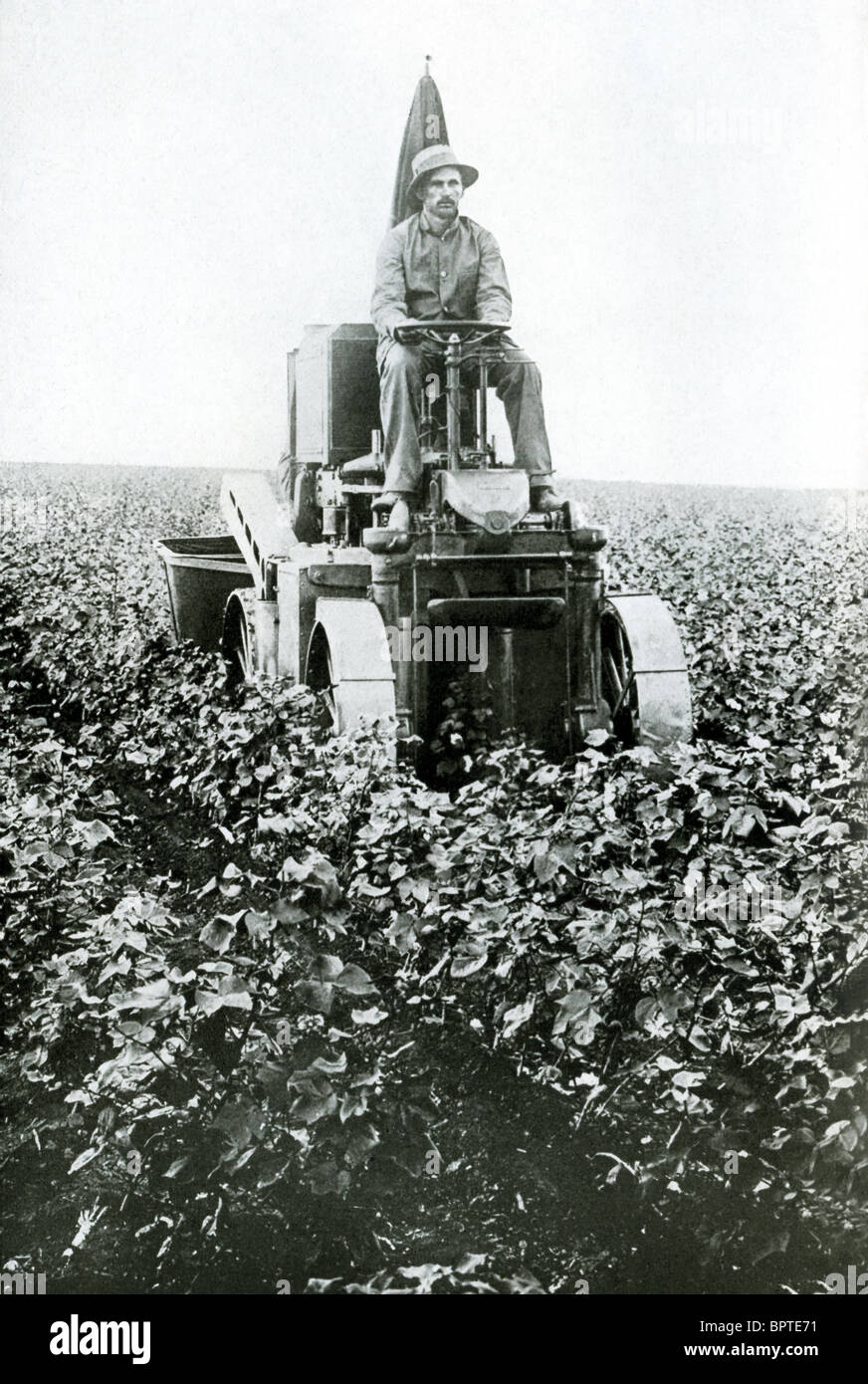 This photograph of a cotton picking machine dates to around 1914 Stock ...