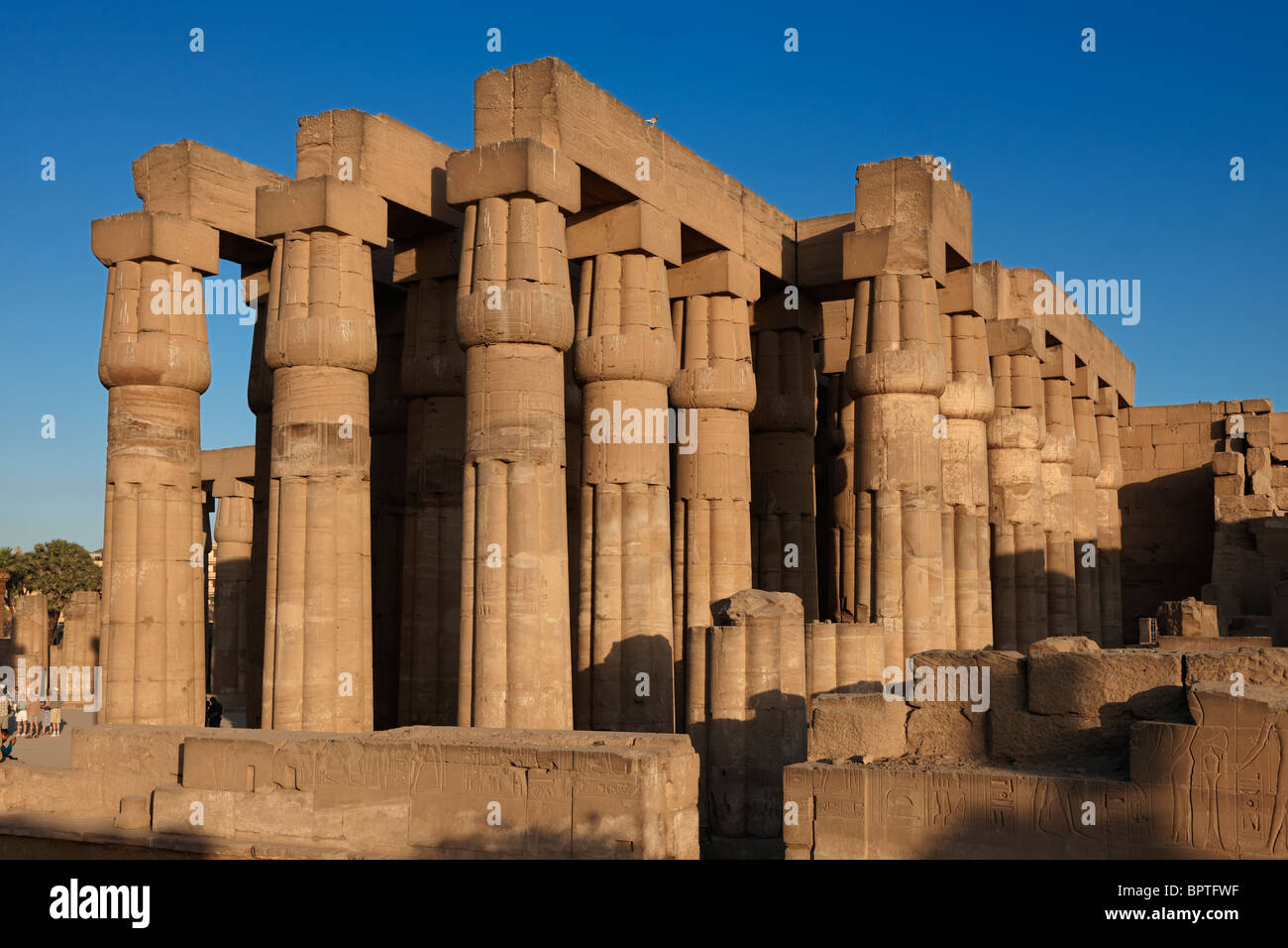 hypostle hall with closed papyrus columns, Temple of Luxor, Thebes ...