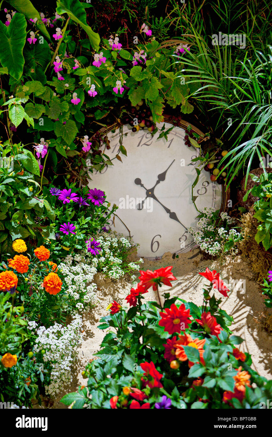 Clock in the garden Stock Photo - Alamy