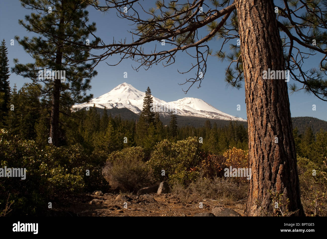 Mount Shasta California Stock Photo - Alamy