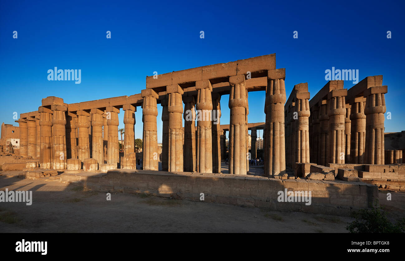 Egypt papyrus columns hi-res stock photography and images - Alamy