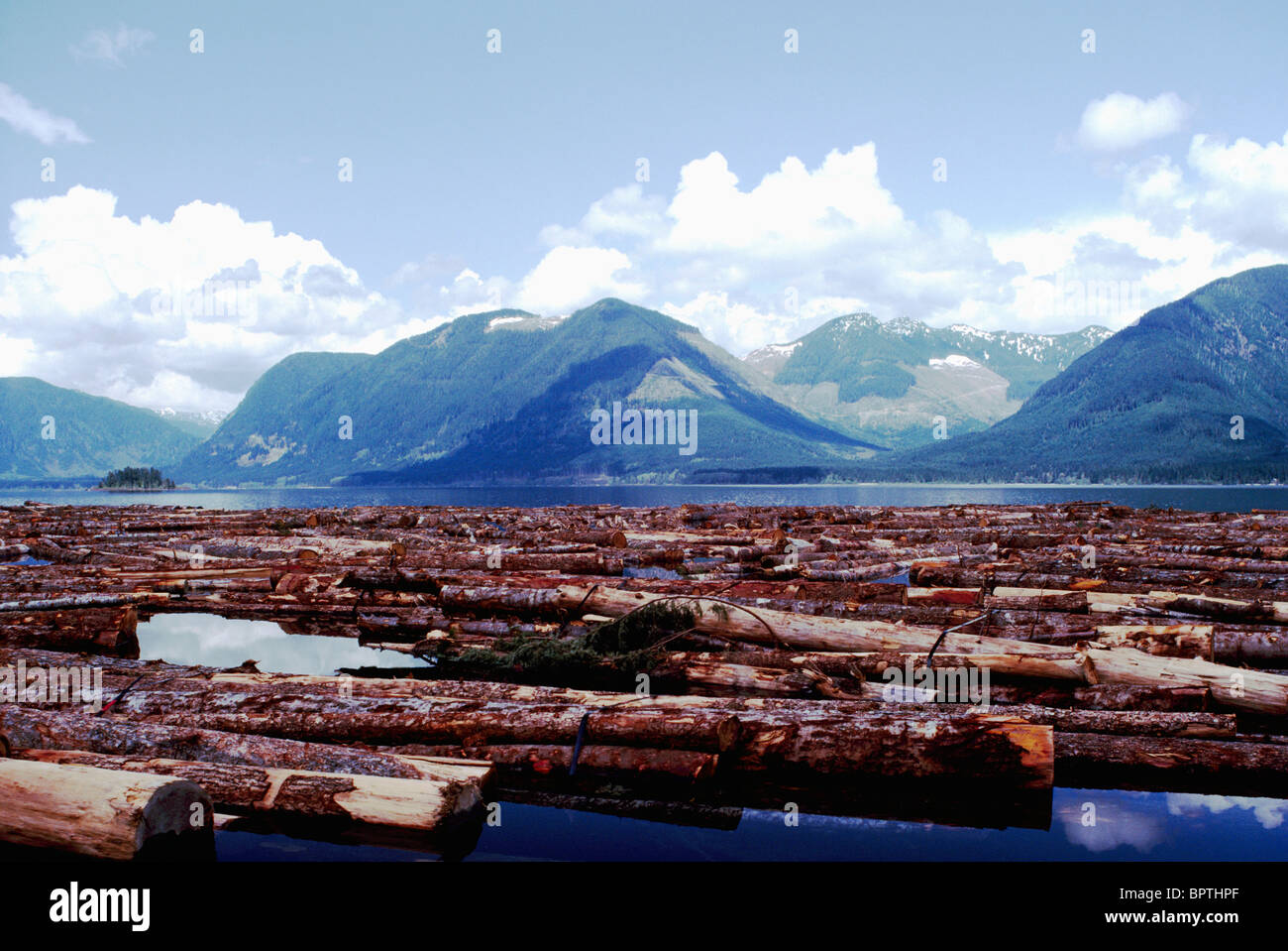 Floating Log Raft British Columbia High Resolution Stock Photography ...