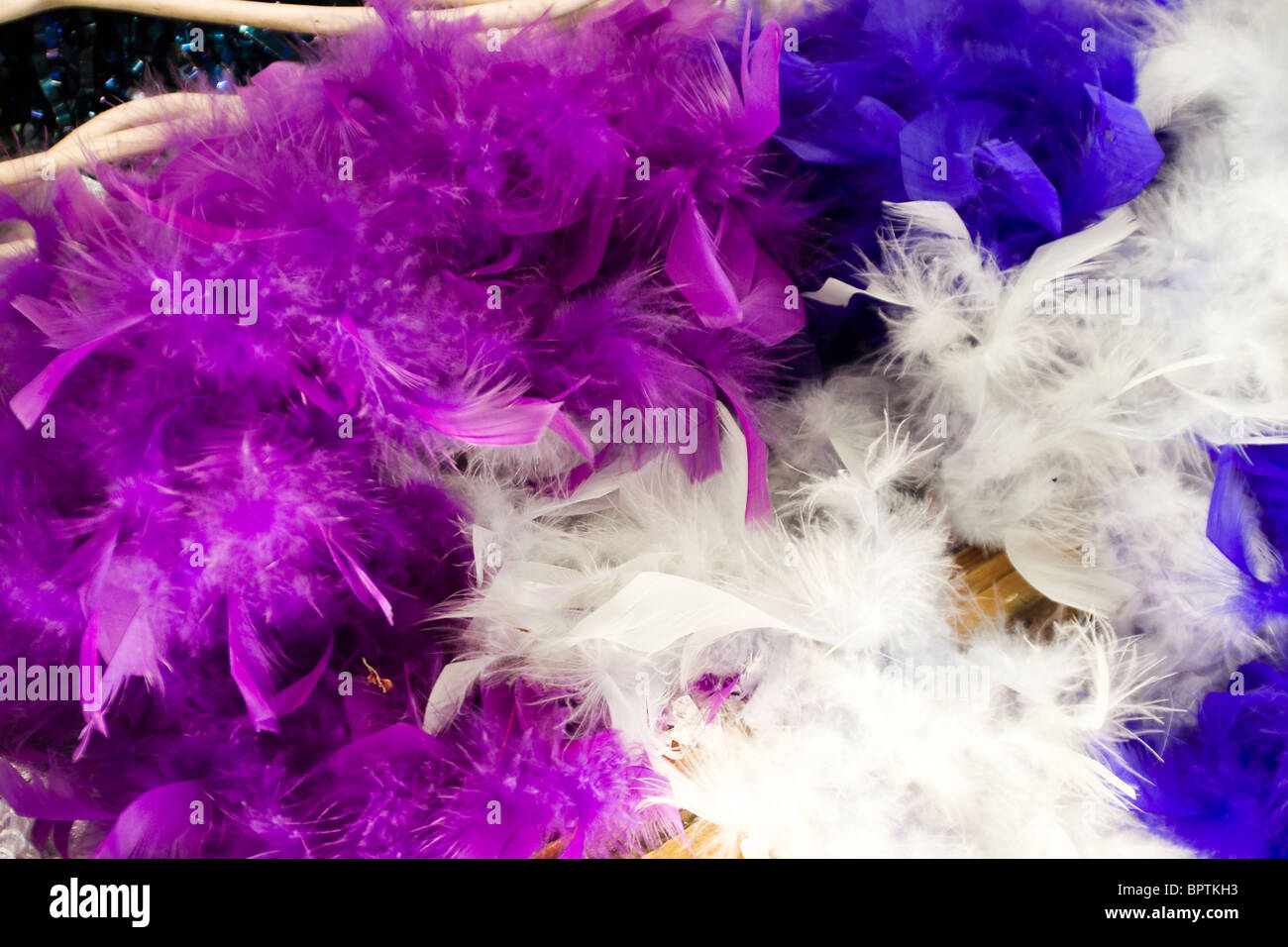 the colorful bird feather background Stock Photo - Alamy