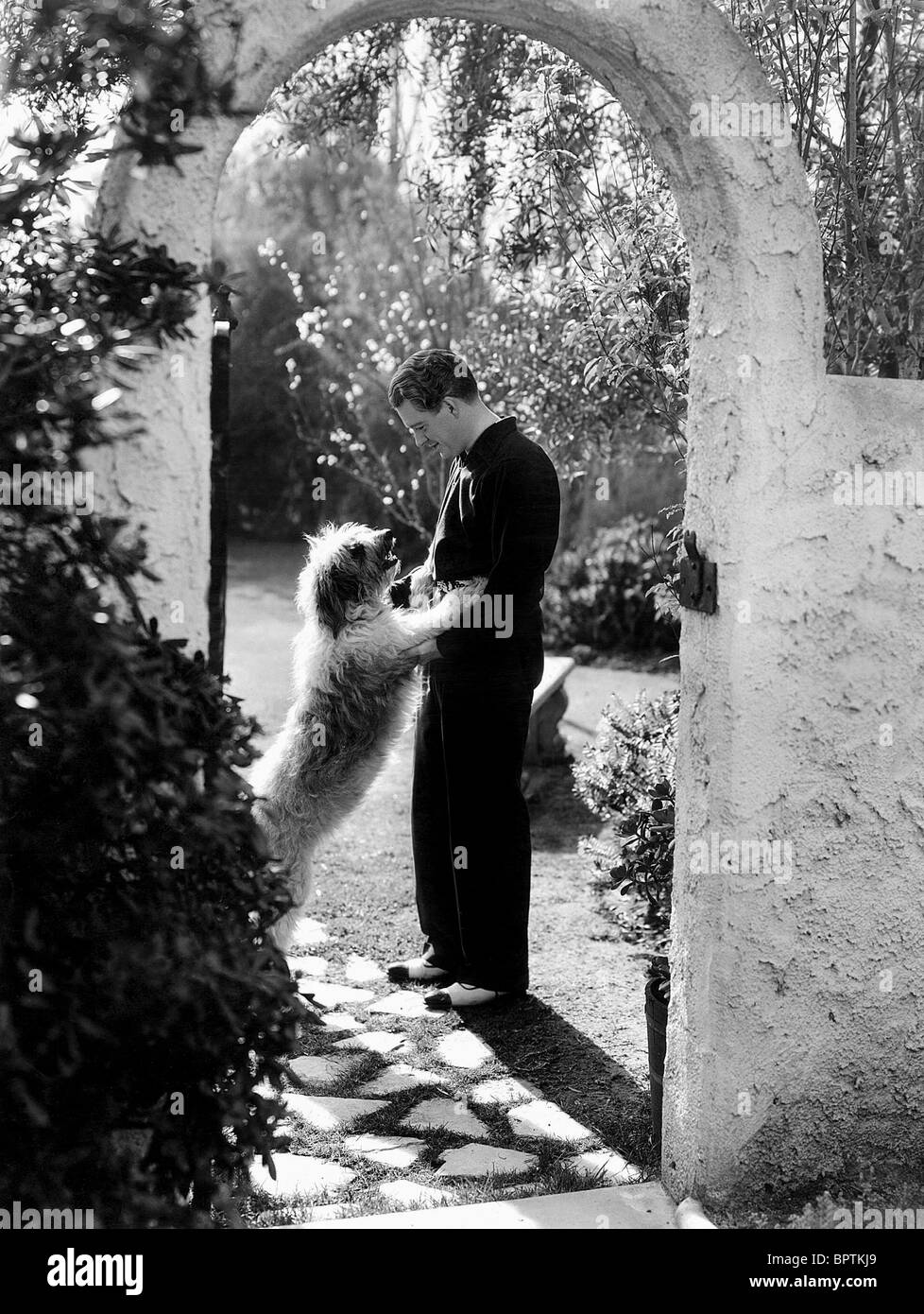 Singer dog hi-res stock photography and images - Alamy