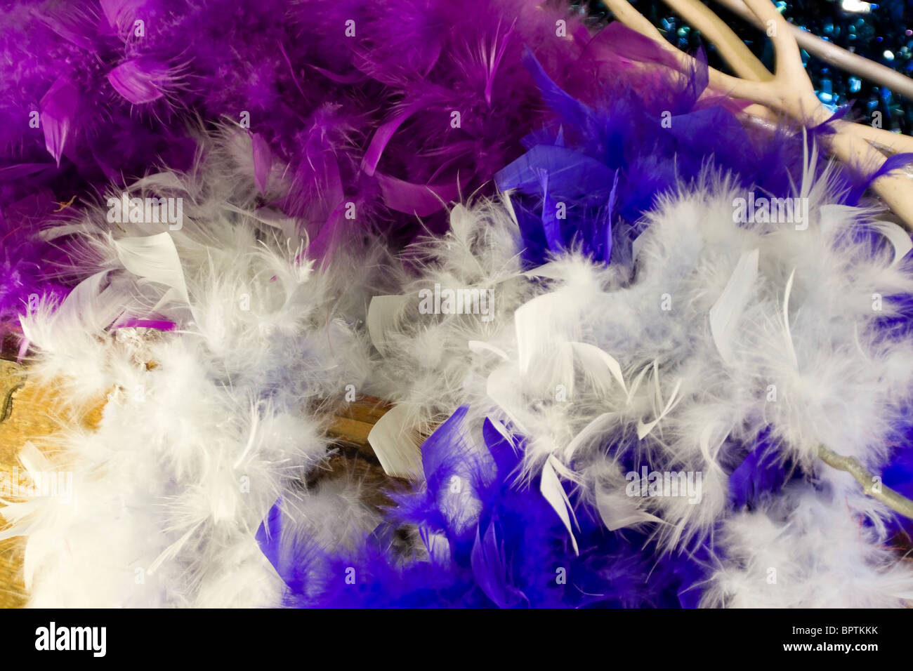 the colorful bird feather background Stock Photo - Alamy