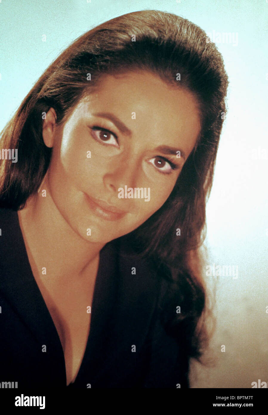 Karin dor hi-res stock photography and images - Alamy