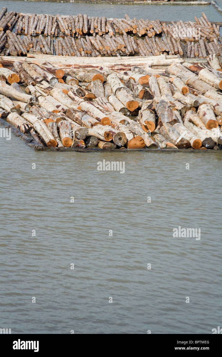 Timber Float High Resolution Stock Photography and Images - Alamy