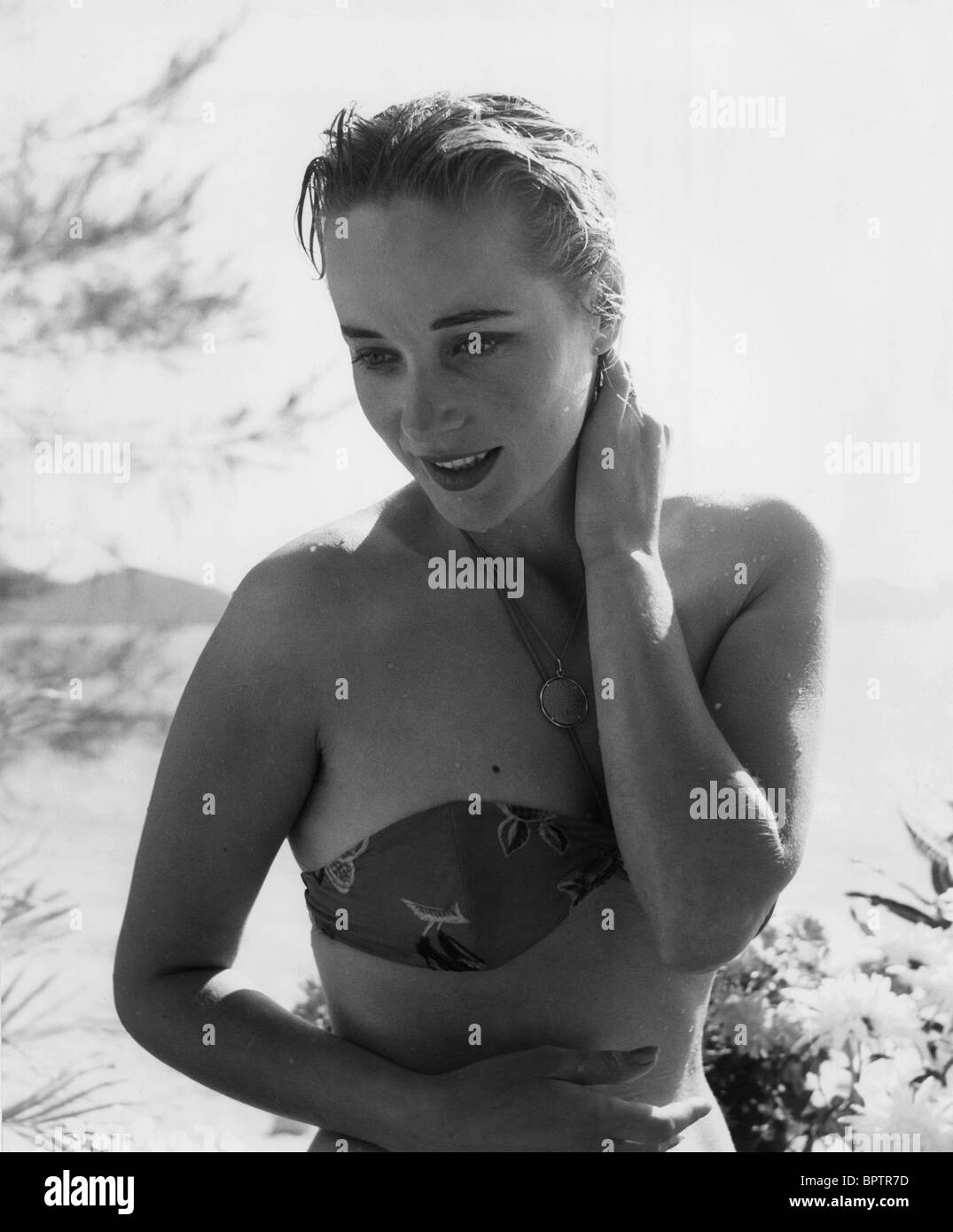 SYLVIA SYMS ACTRESS (1959 Stock Photo - Alamy SYLVIA SYMS ACTRESS (1959 Stock Photo - Alamy