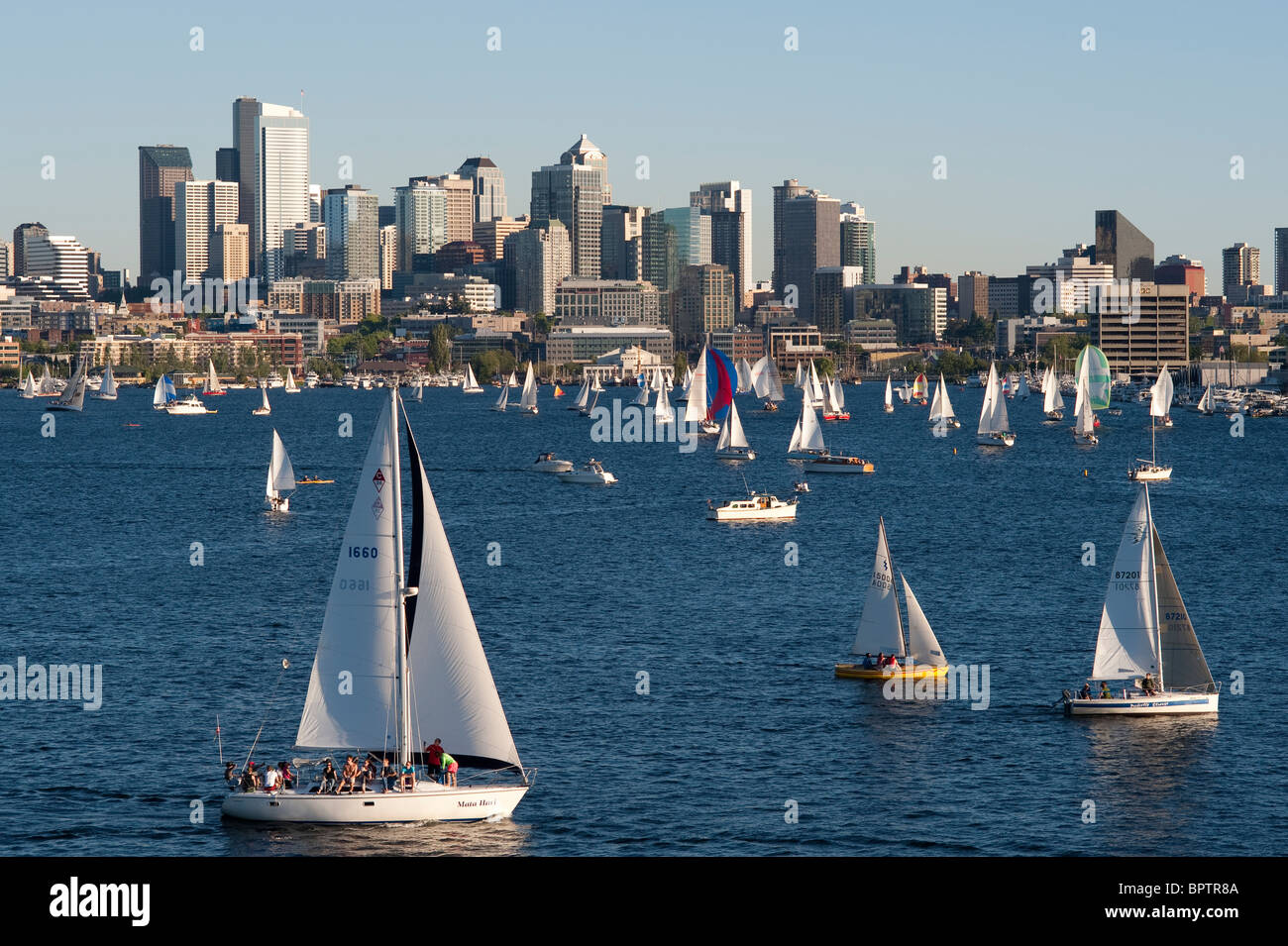 Sailboat races on Lake Union with Seattle Skyline Seattle Washington ...