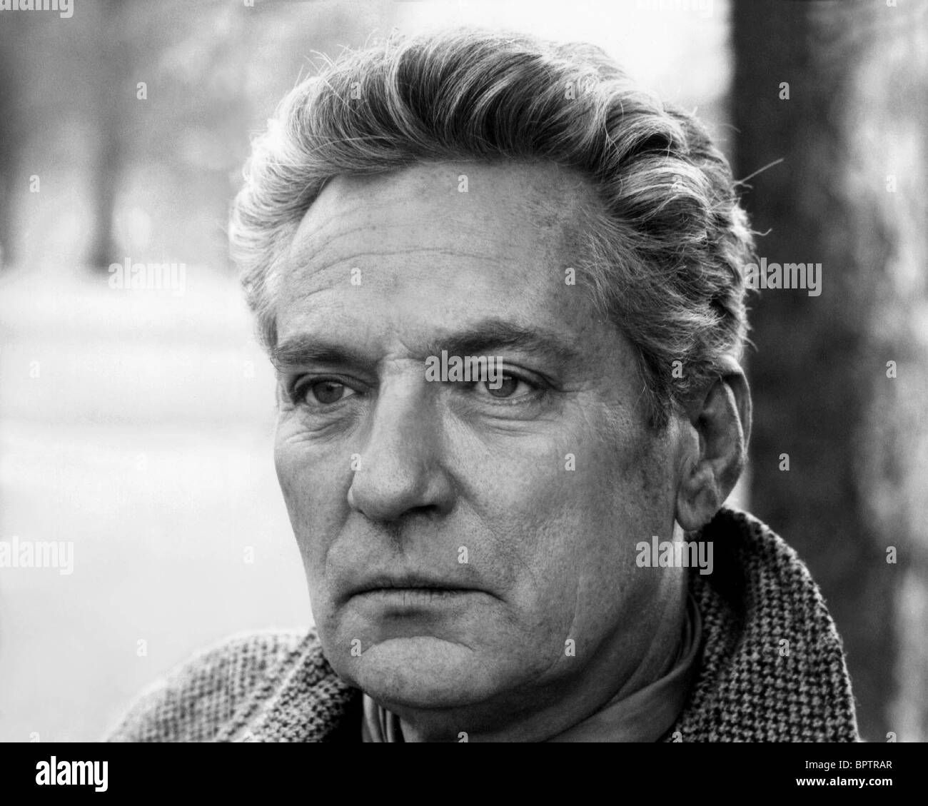 Peter finch hi-res stock photography and images - Alamy