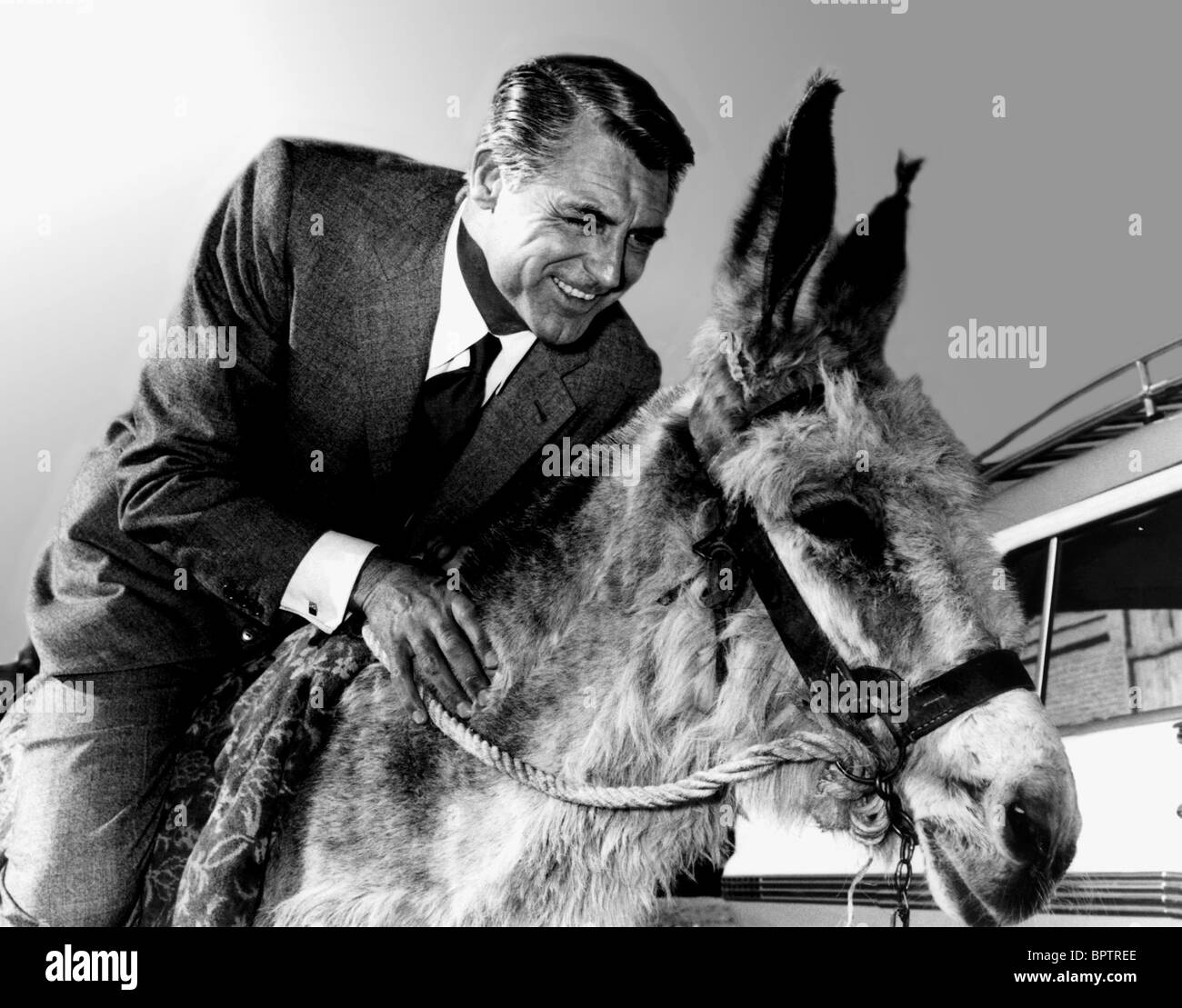 CARY GRANT ON DONKEY ACTOR (1956 Stock Photo - Alamy