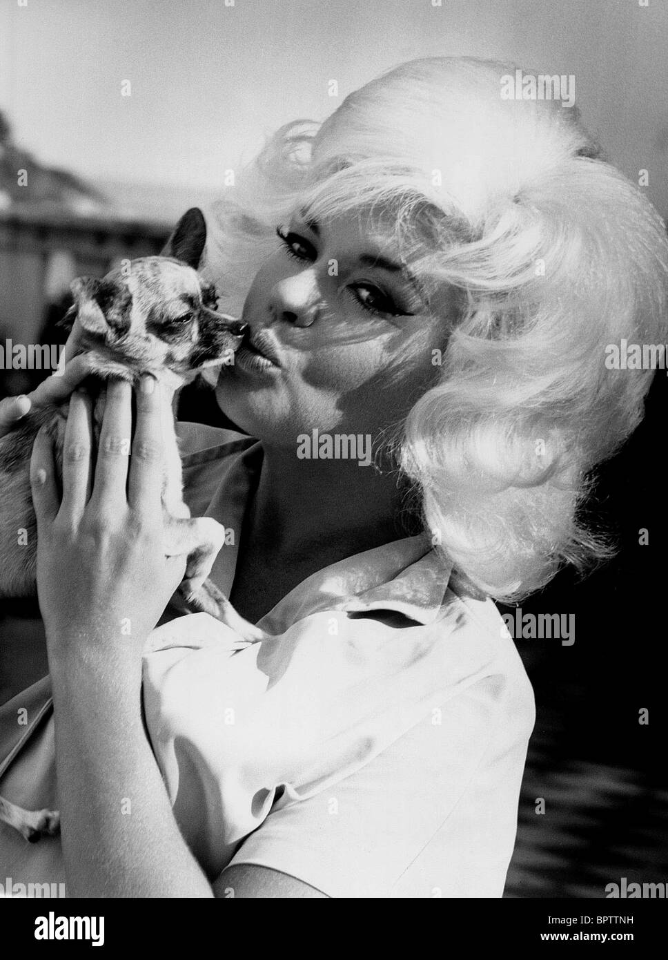 JAYNE MANSFIELD & DOG ACTRESS (1963 Stock Photo - Alamy