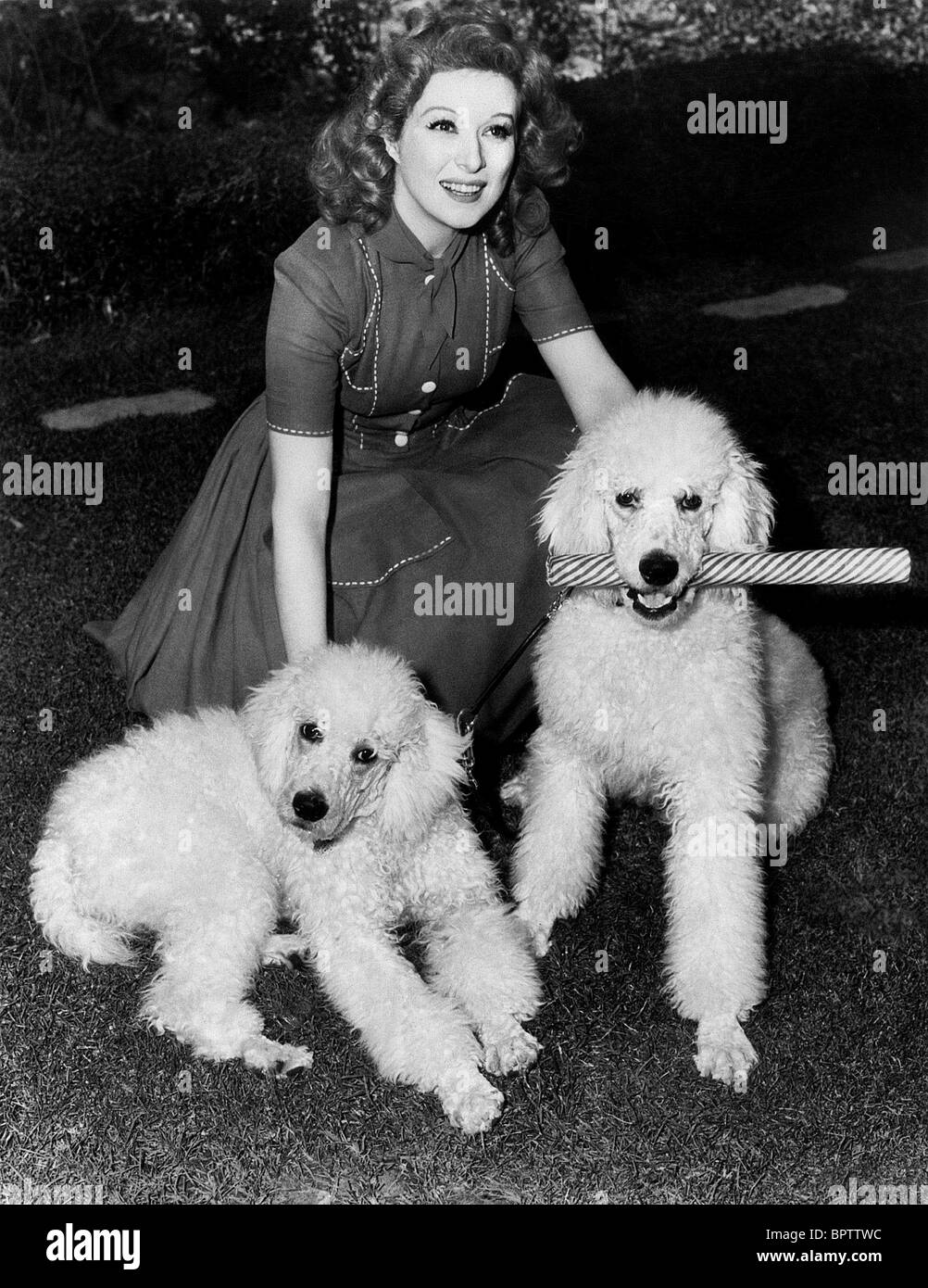 GREER GARSON & DOGS ACTRESS (1944 Stock Photo - Alamy