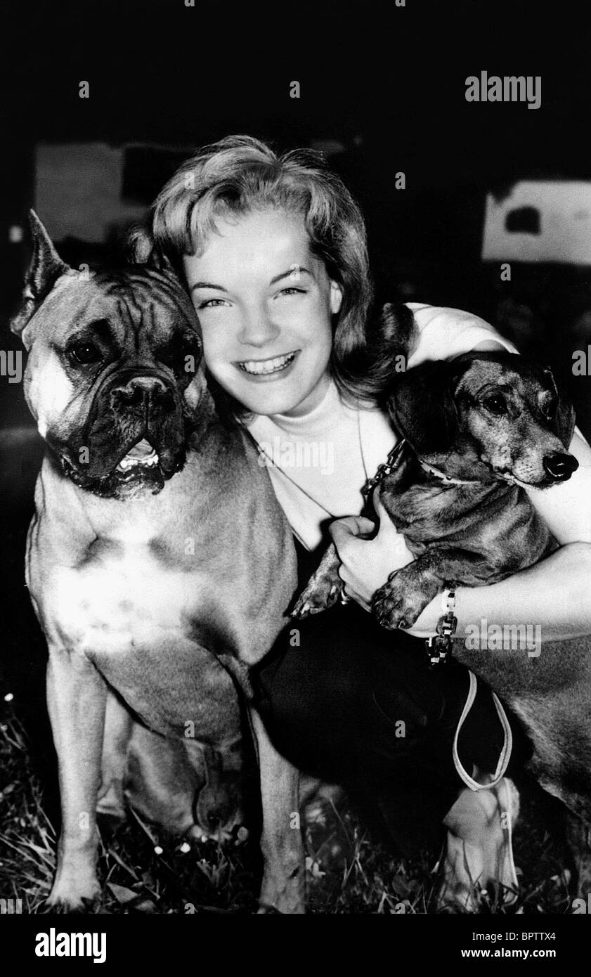 ROMY SCHNEIDER & DOGS ACTRESS (1960 Stock Photo - Alamy