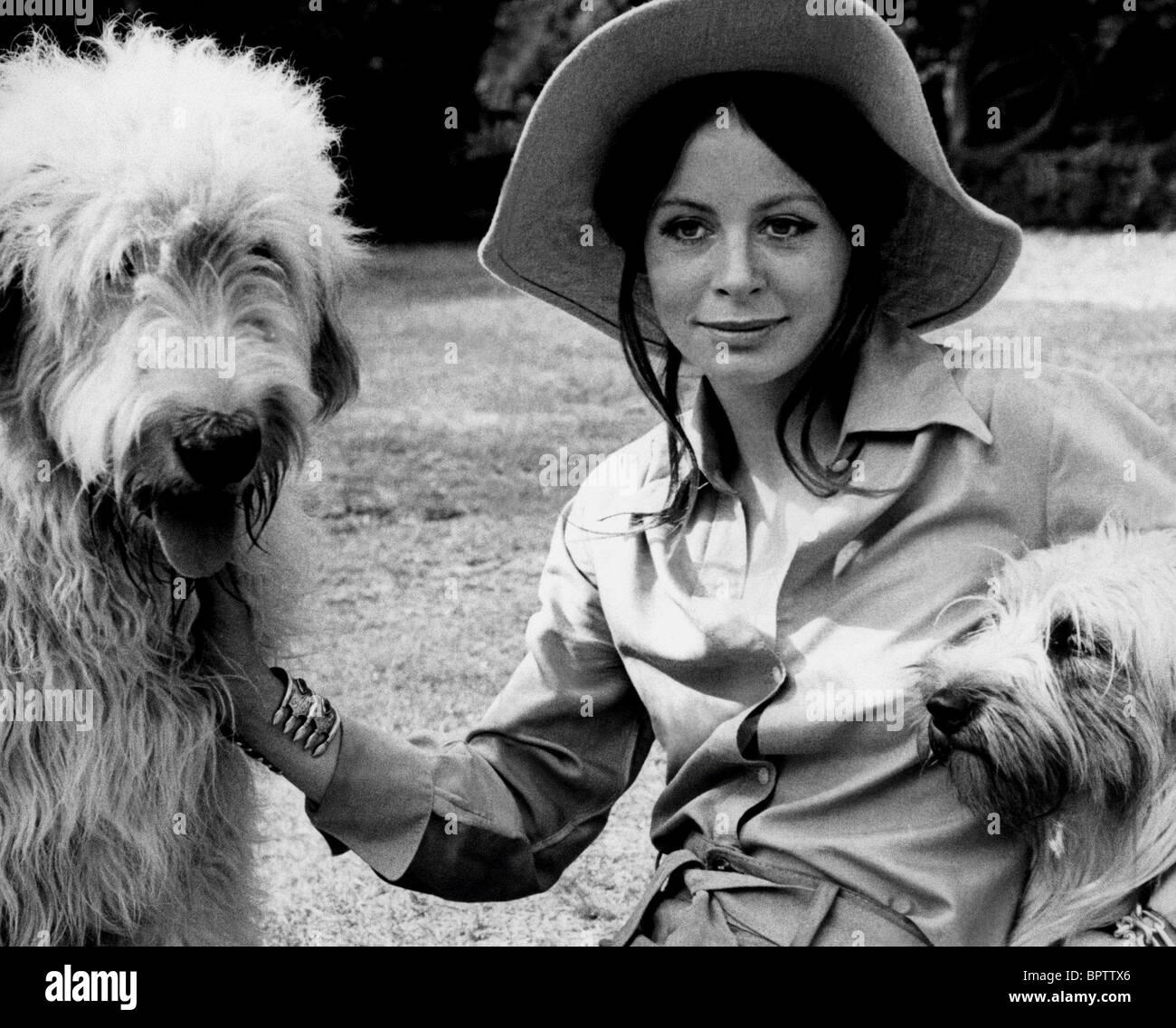 Actress sarah miles hi-res stock photography and images - Alamy