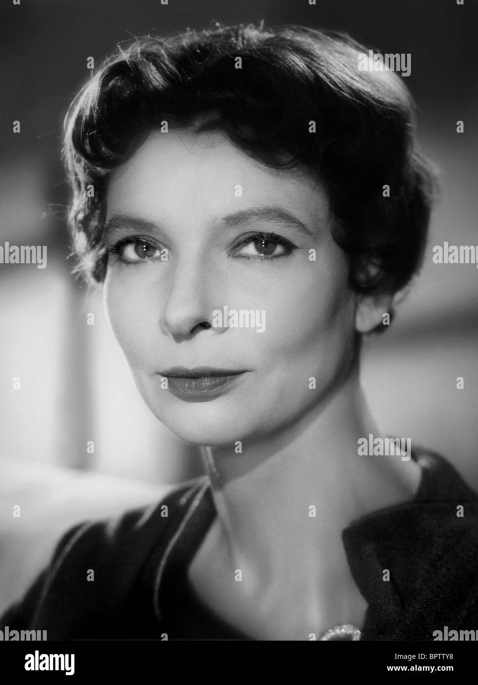 Fink Black and White Stock Photos & Images - Alamy