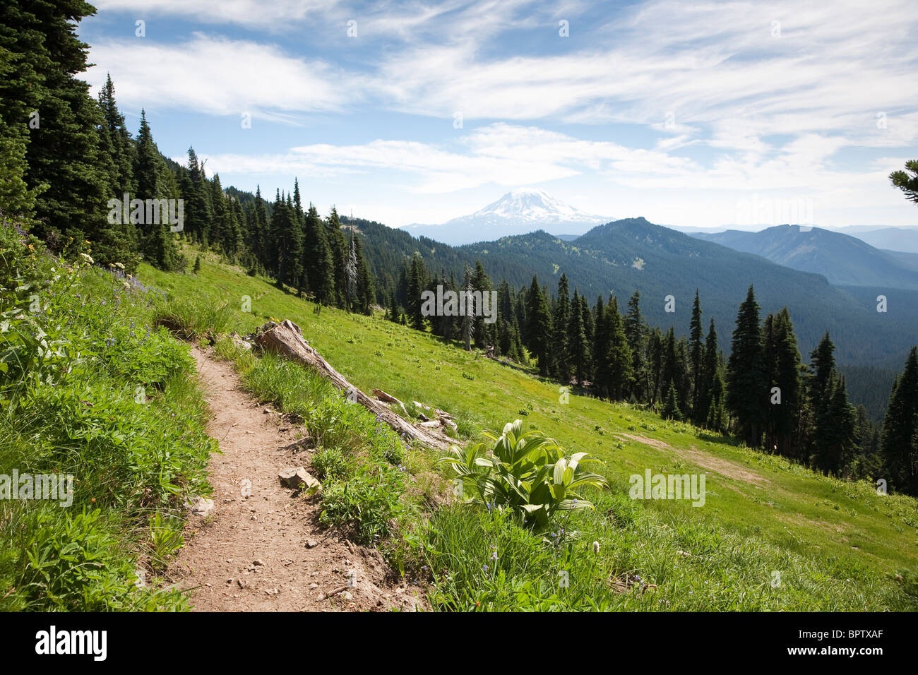 Pacific Crest Trail near Cispus Pass - Goat Rocks Wilderness, Gifford ...