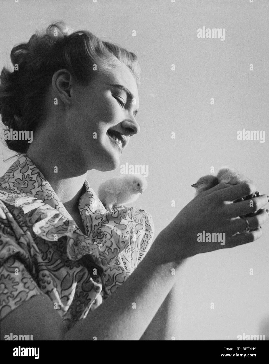 Susan shaw hi-res stock photography and images - Alamy