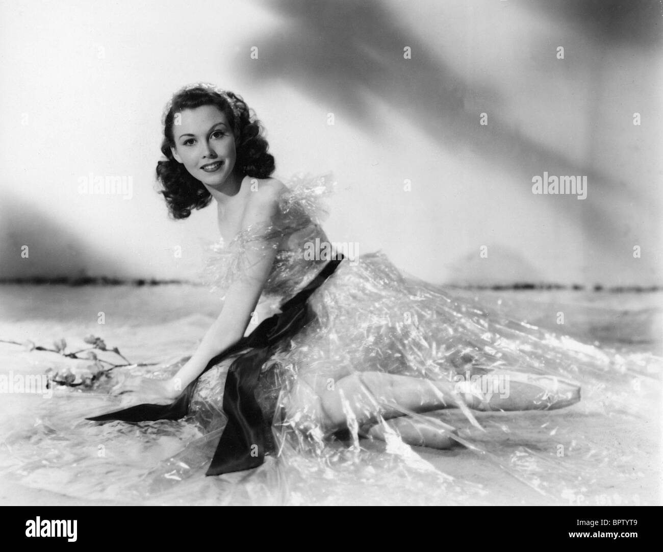Hazel court hi-res stock photography and images - Alamy