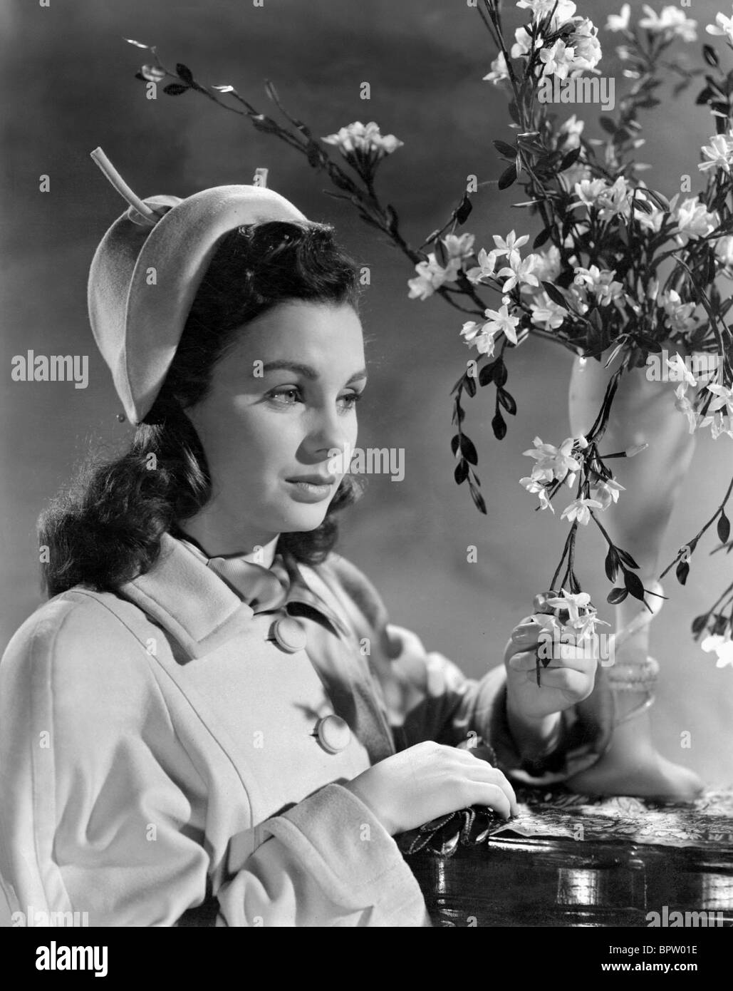 Actress jean simmons hi-res stock photography and images - Alamy