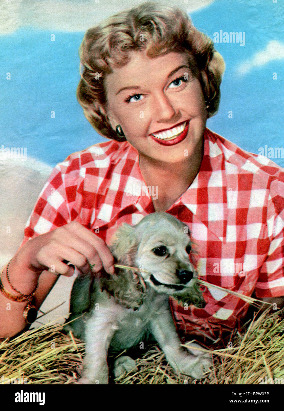 DORIS DAY & PUPPY ACTRESS (1956 Stock Photo - Alamy