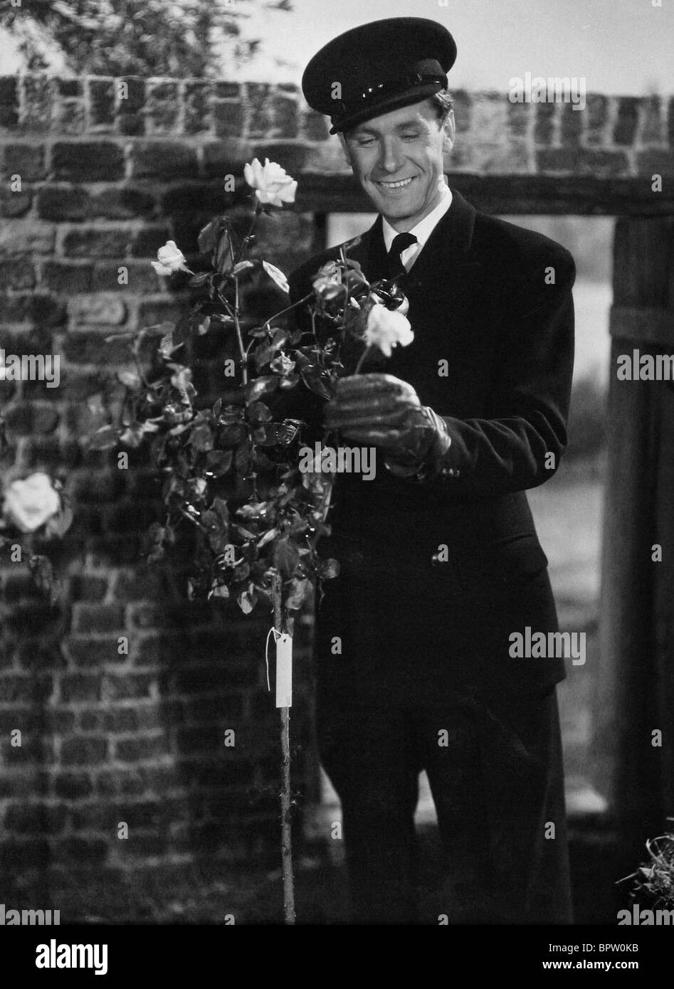 GRIFFITH JONES ACTOR (1947 Stock Photo - Alamy