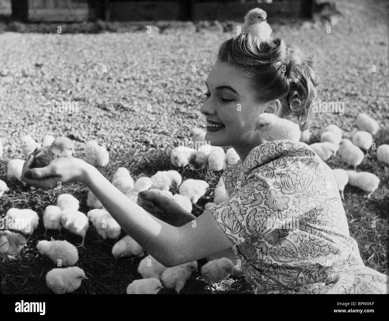 Susan shaw hi-res stock photography and images - Alamy