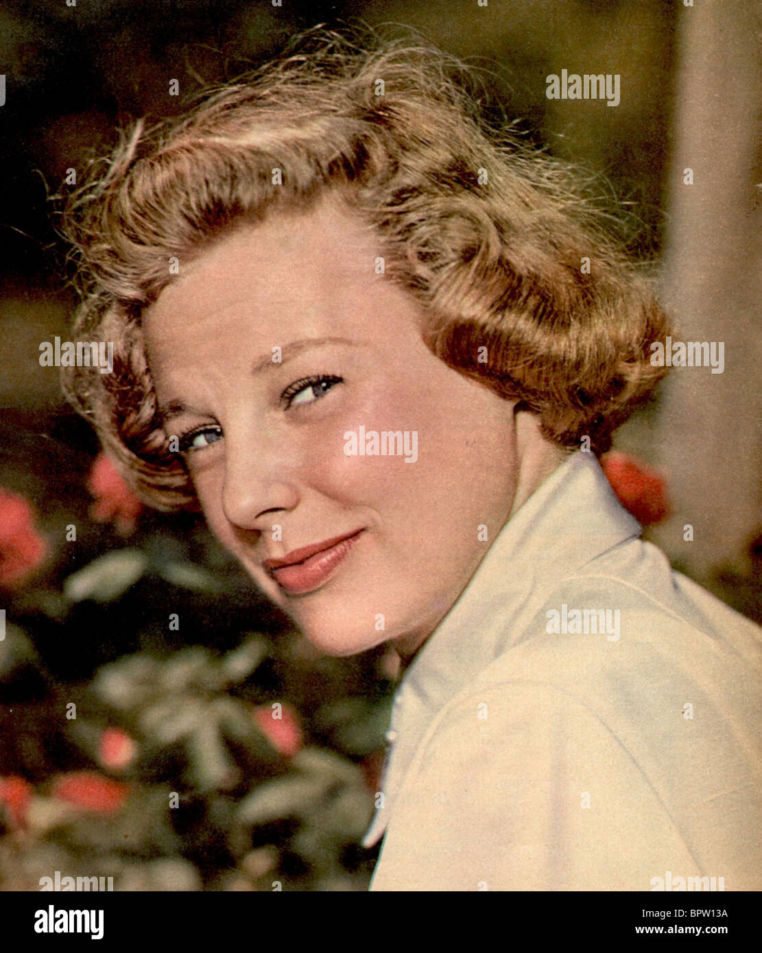 JUNE ALLYSON ACTRESS (1948 Stock Photo - Alamy